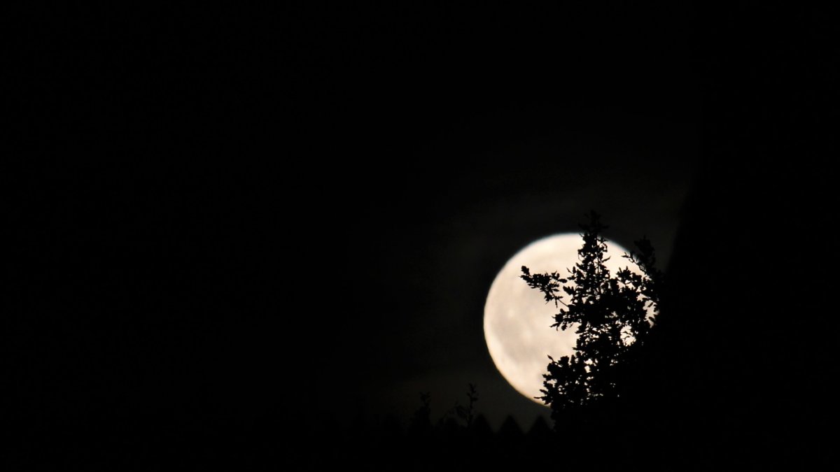 Hunter’s Moon: What It Is and When You Can See It – NBC 6 South Florida