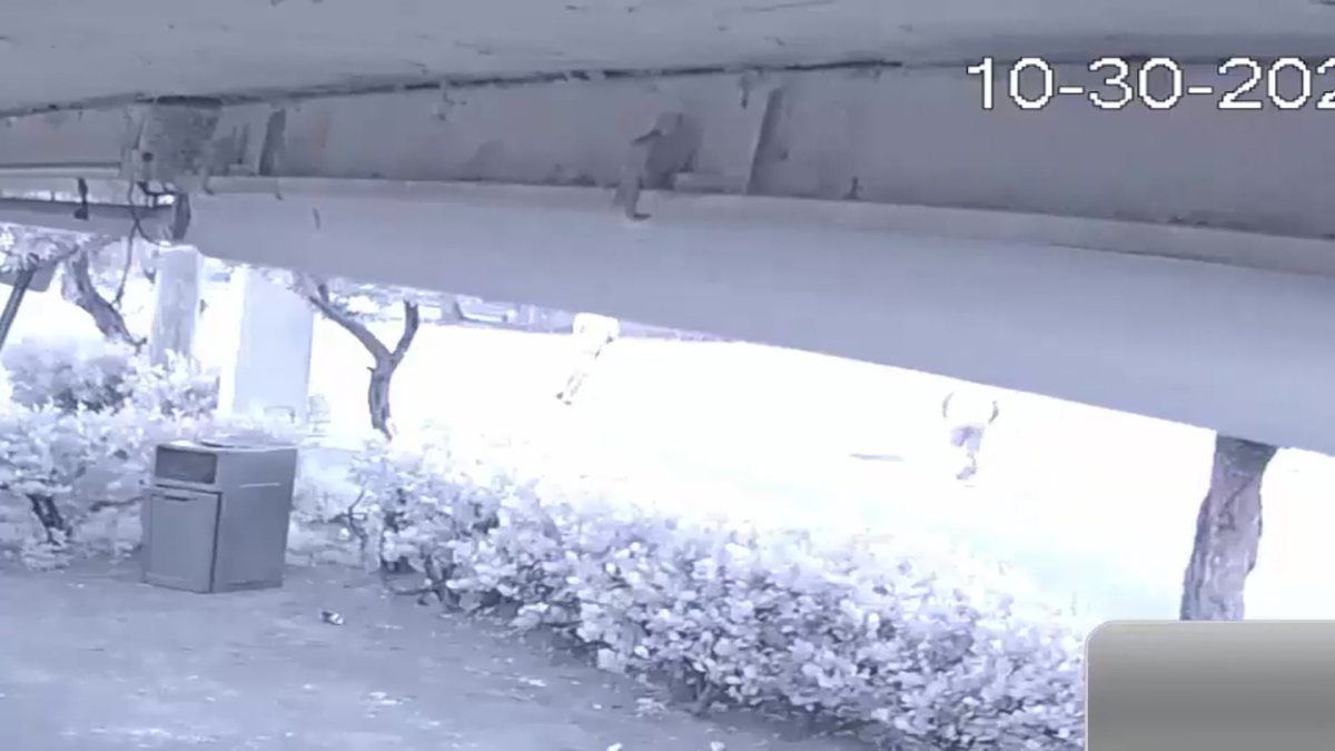 Pompano Beach Shooting Caught on Camera – NBC 6 South Florida