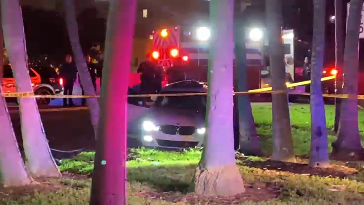 Chase Of Armed Carjacking Suspect Ends In Crash Near Miami Beach
