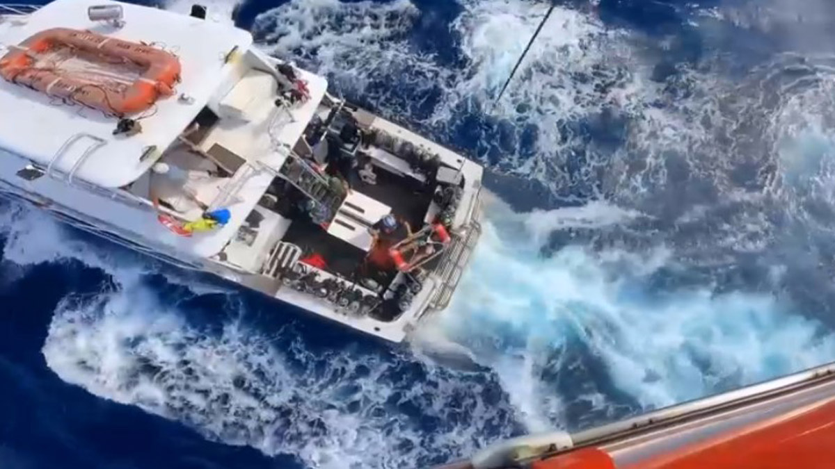 Coast Guard Rescues Fisherman Bitten by Shark Near Bimini – NBC 6 South ...