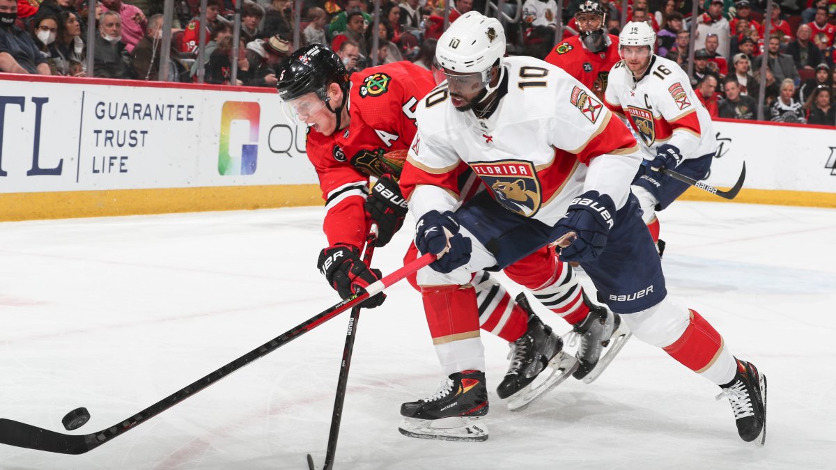 Panthers’ Duclair Reportedly Considering Surgery After Achilles Tendon ...