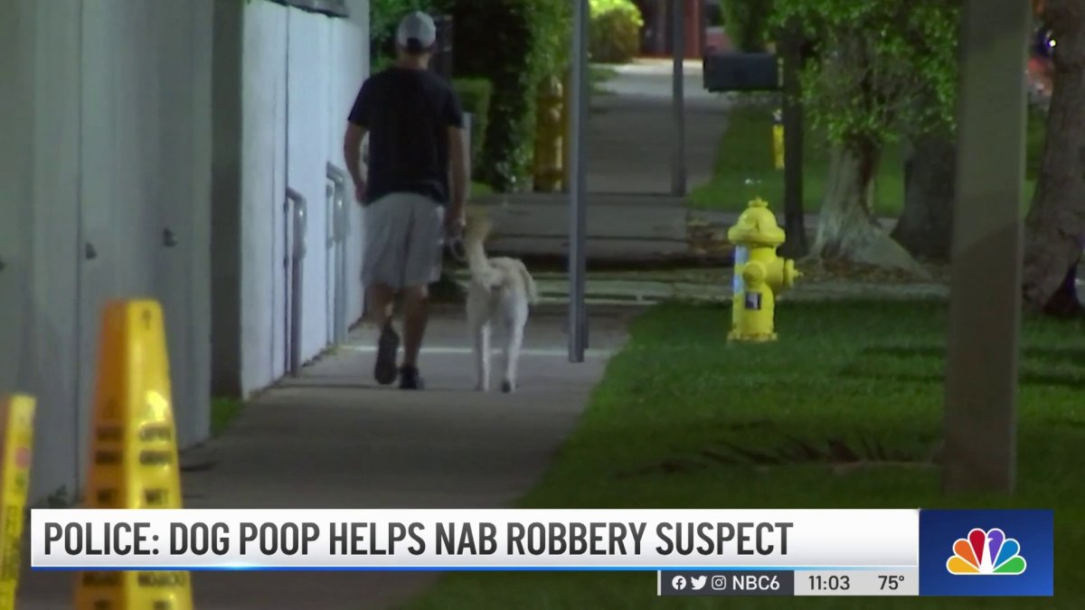 Dog Poop Helps Nab Robbery Suspect – NBC 6 South Florida