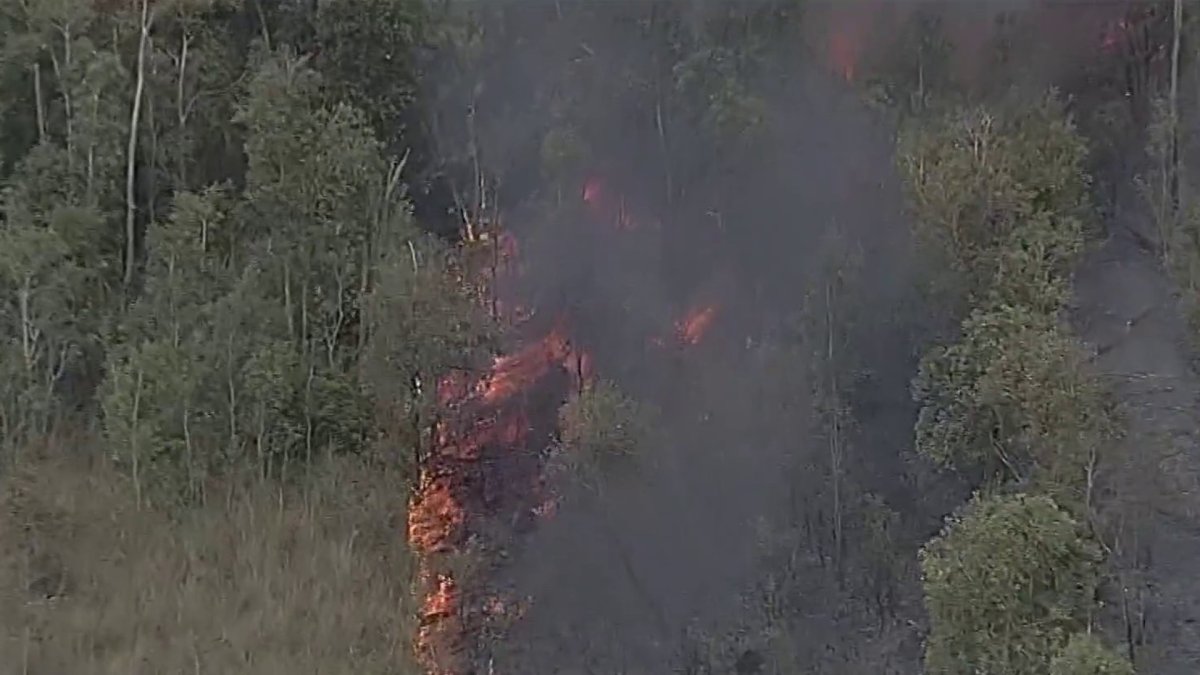 Brush Fire in SW Miami-Dade Continues to Burn as Officials Urge Caution ...