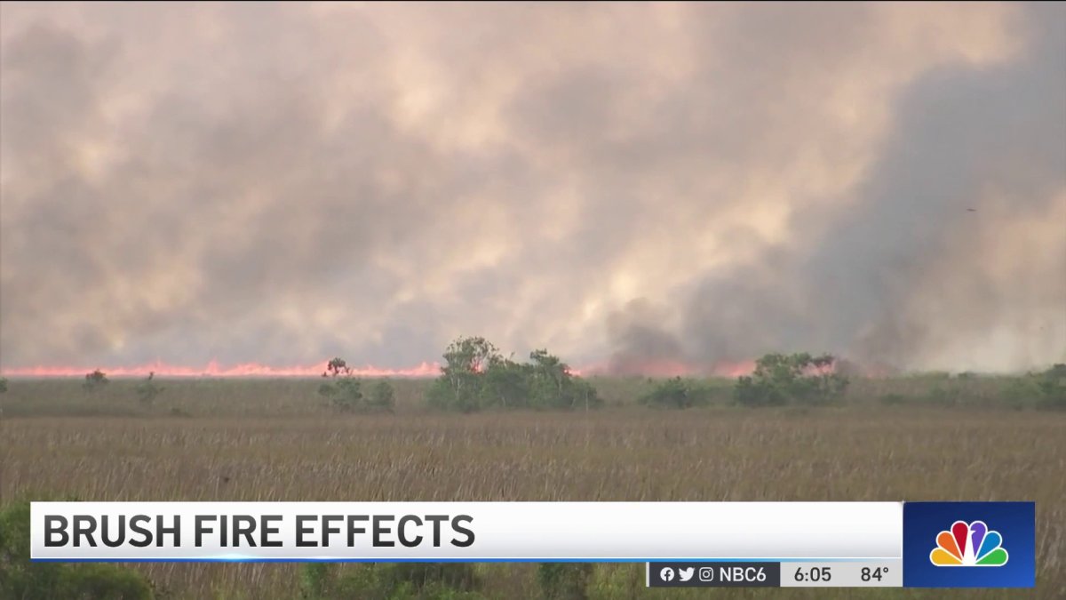 Everglades Brush Fire Causes Concern for Some in South Florida – NBC 6 ...