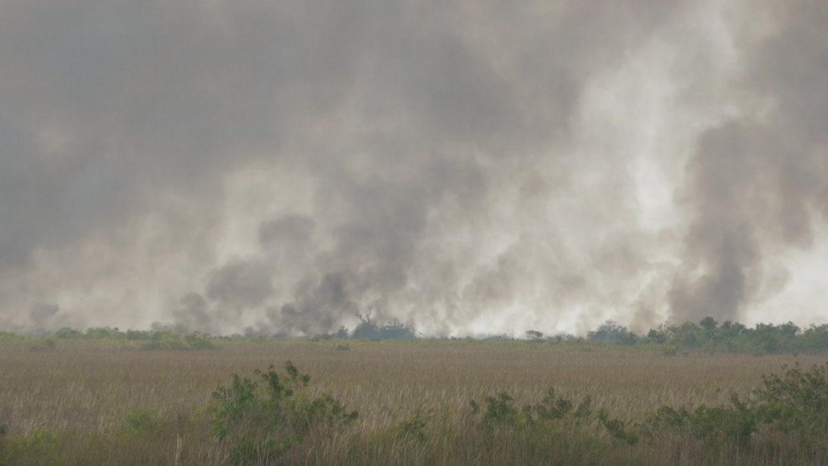 Brush Fires Continue in Everglades – NBC 6 South Florida