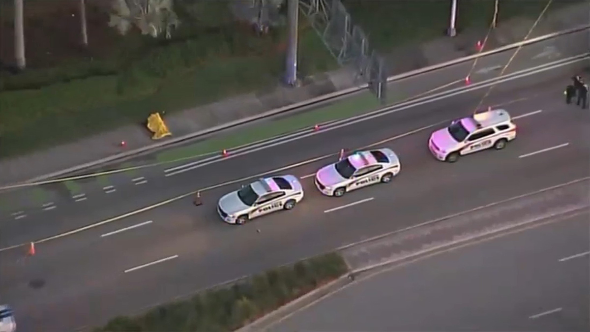 Man Killed in Hit-and-Run Crash Near Hard Rock Casino in Hollywood ...