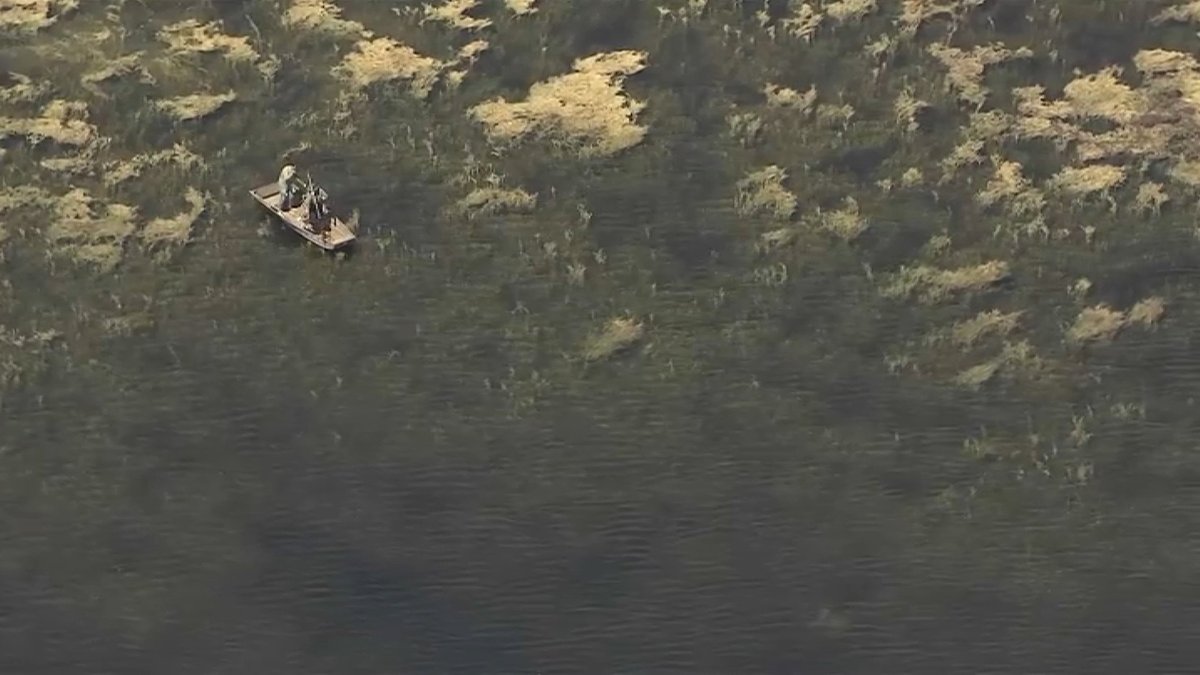 Florida Man Found Dead in Gator-Filled Lake Near Disc Golf Course – NBC ...