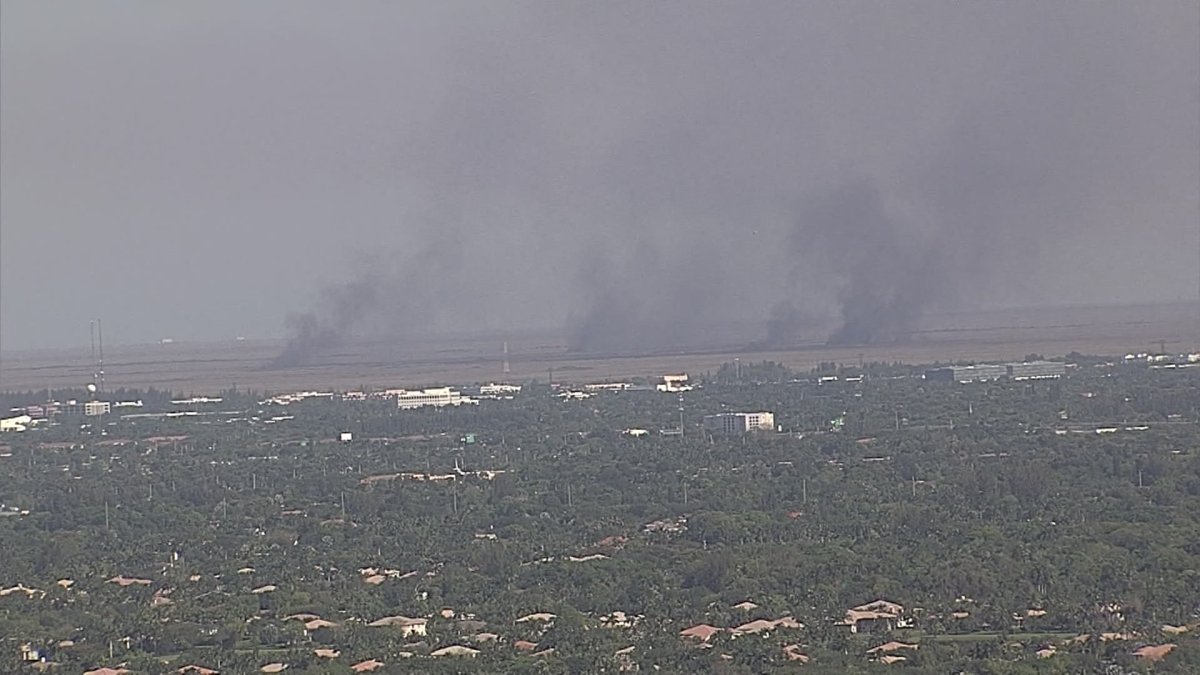 Brush Fire Burns in Everglades in Broward – NBC 6 South Florida