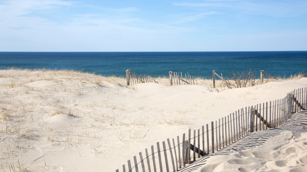 Marine heat wave: as Florida waters reach record-temperatures, is it ...