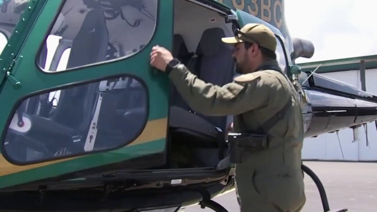 Textbook Operation by BSO, MDPD Lands Auto Theft Suspects in Jail ...