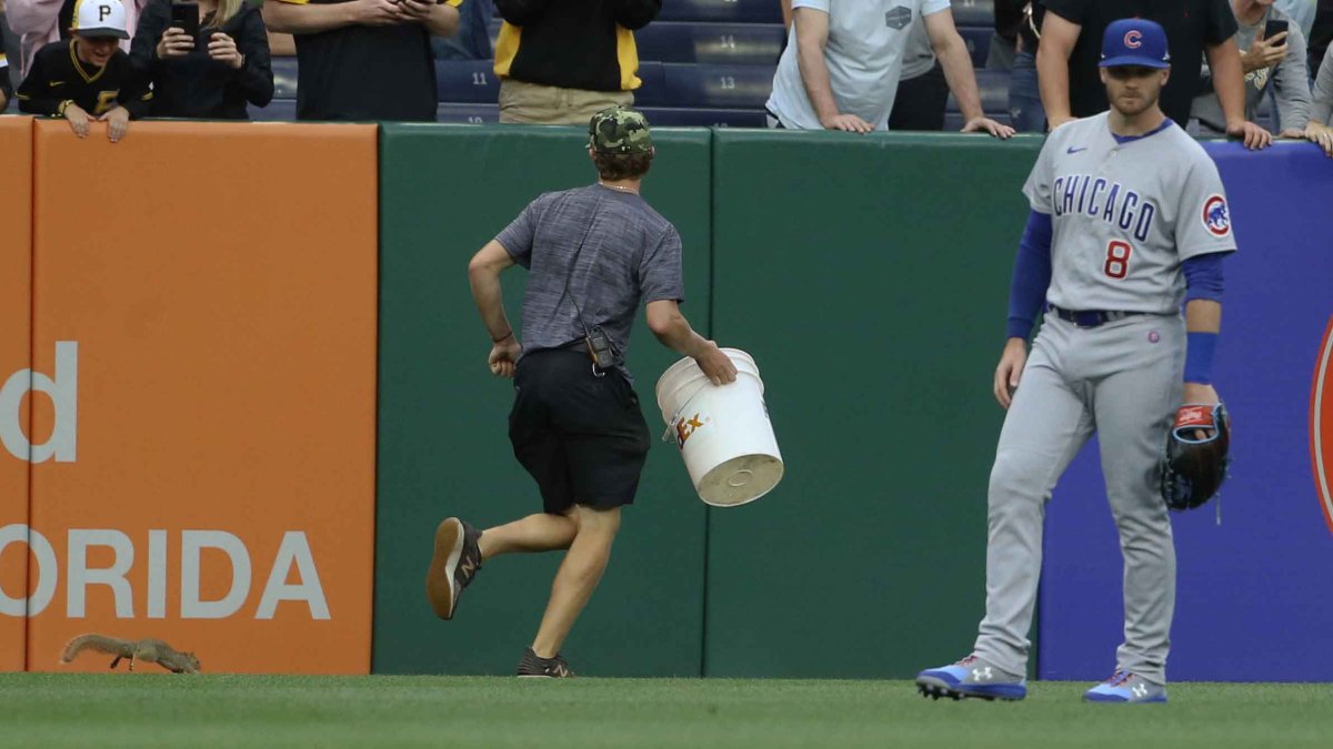 Watch: Squirrel Causes Delay in Cubs-Pirates Game – NBC 6 South Florida