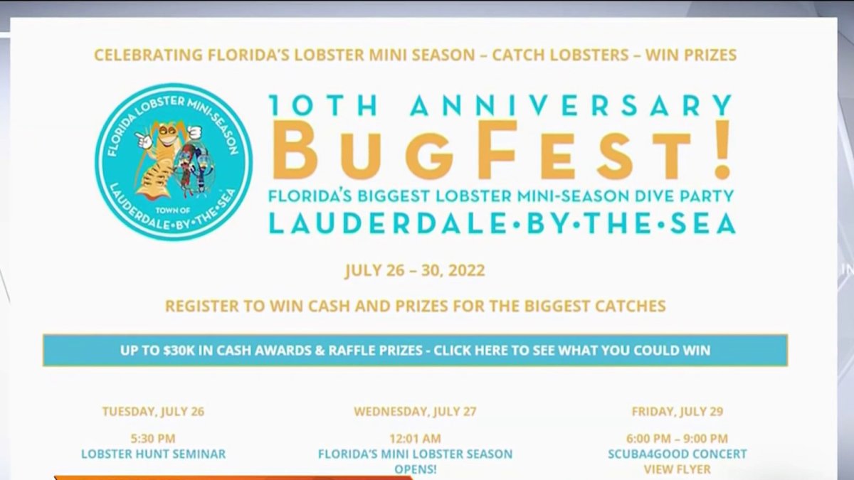 10th Annual BugFest Celebrates Start of Lobster Mini-Season – NBC 6 ...
