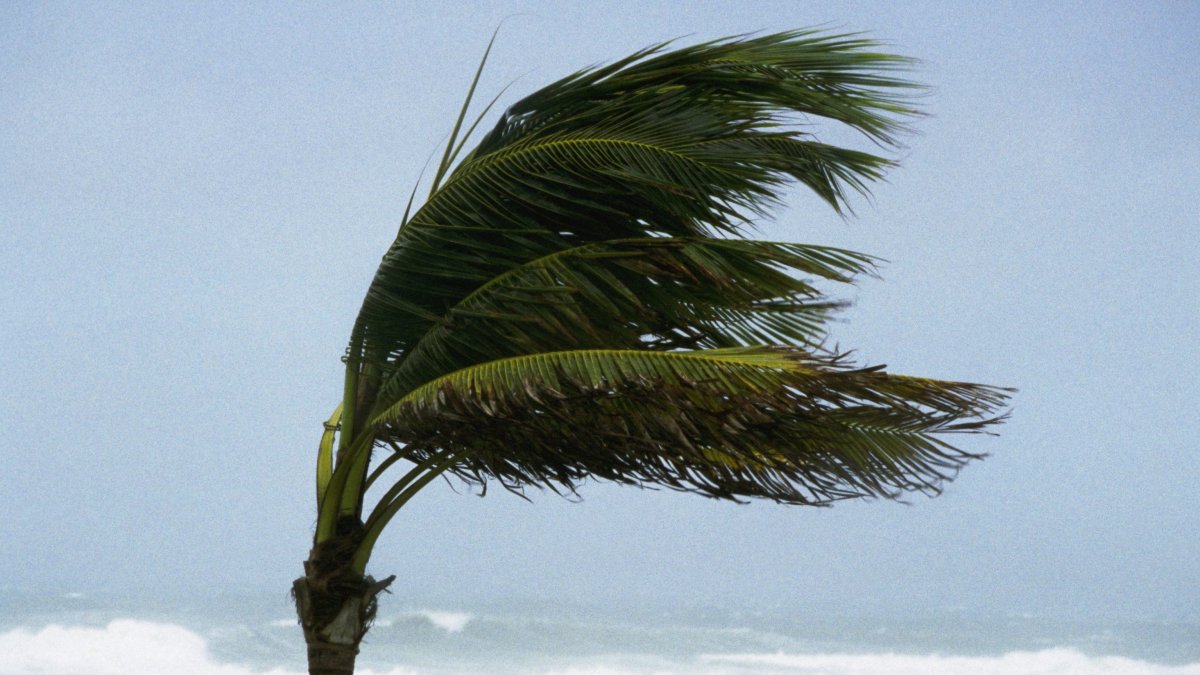 Wind Chill: Why Does Outside Air Feel Colder? – NBC 6 South Florida