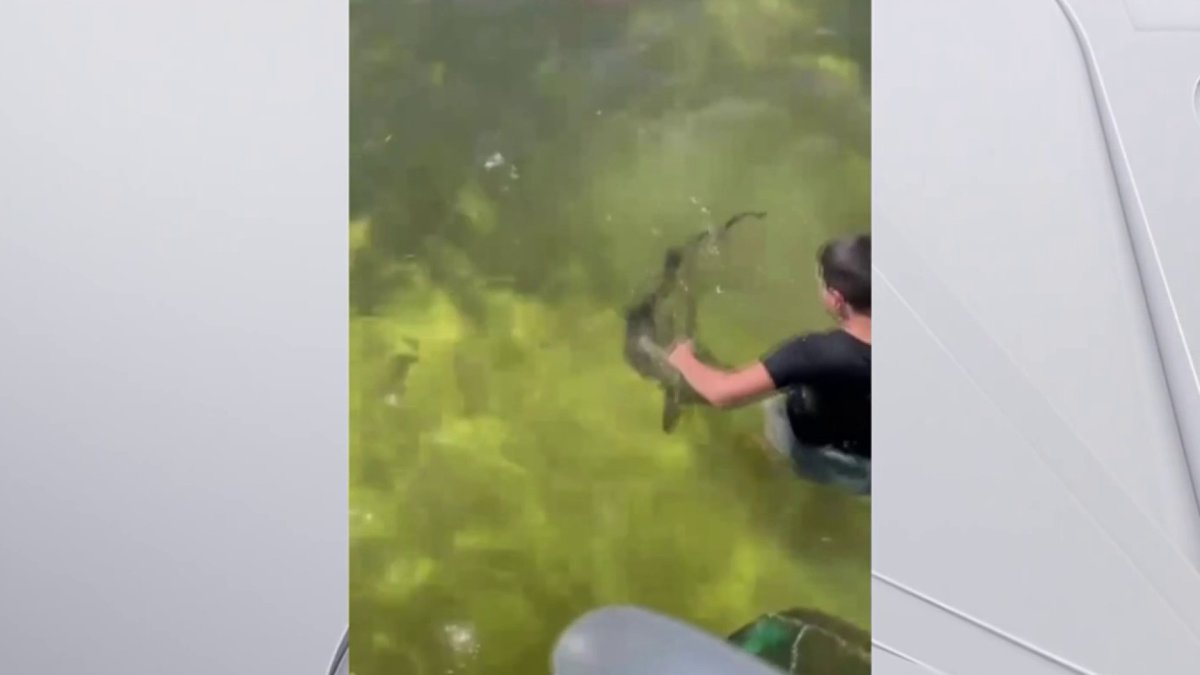 Teen Bitten by Shark While Fishing in Key Largo – NBC 6 South Florida