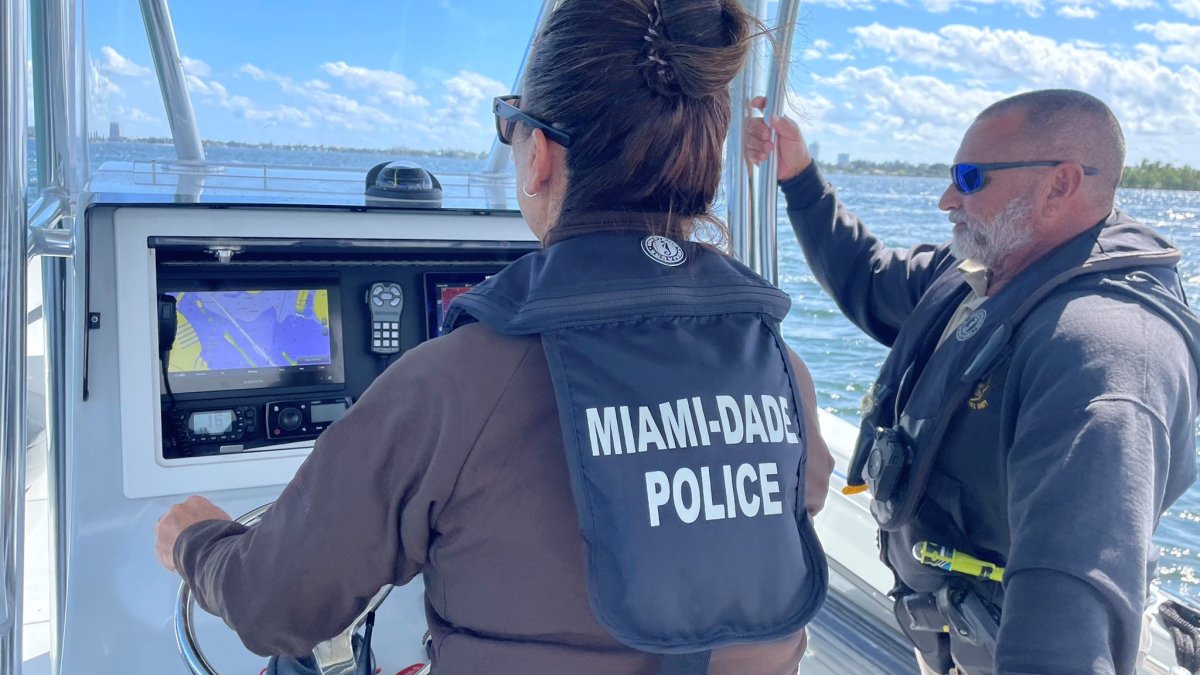 Miami-Dade Officials Investigate Fish Kill in Biscayne Bay – NBC 6 South Florida