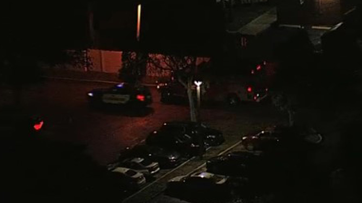 Girl Found Safe After Going Missing in Tamarac: BSO – NBC 6 South Florida