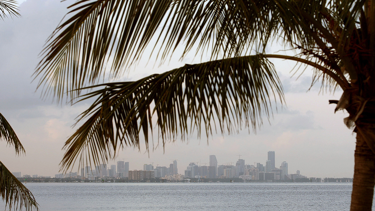 South Florida Kicks Off New Year With Dense Fog and Warm, Muggy Temps ...