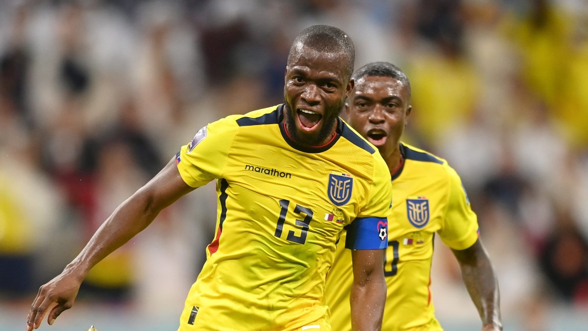 Qatar vs. Ecuador World Cup 2022: Top Moments in Photos – NBC 6 South ...