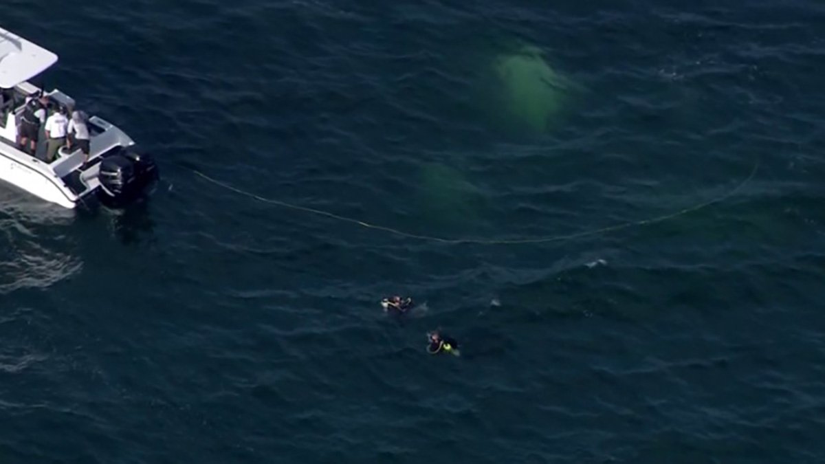 Airplane Crash Off Florida’s Gulf Coast Leaves 2 Dead, 1 Missing – NBC ...