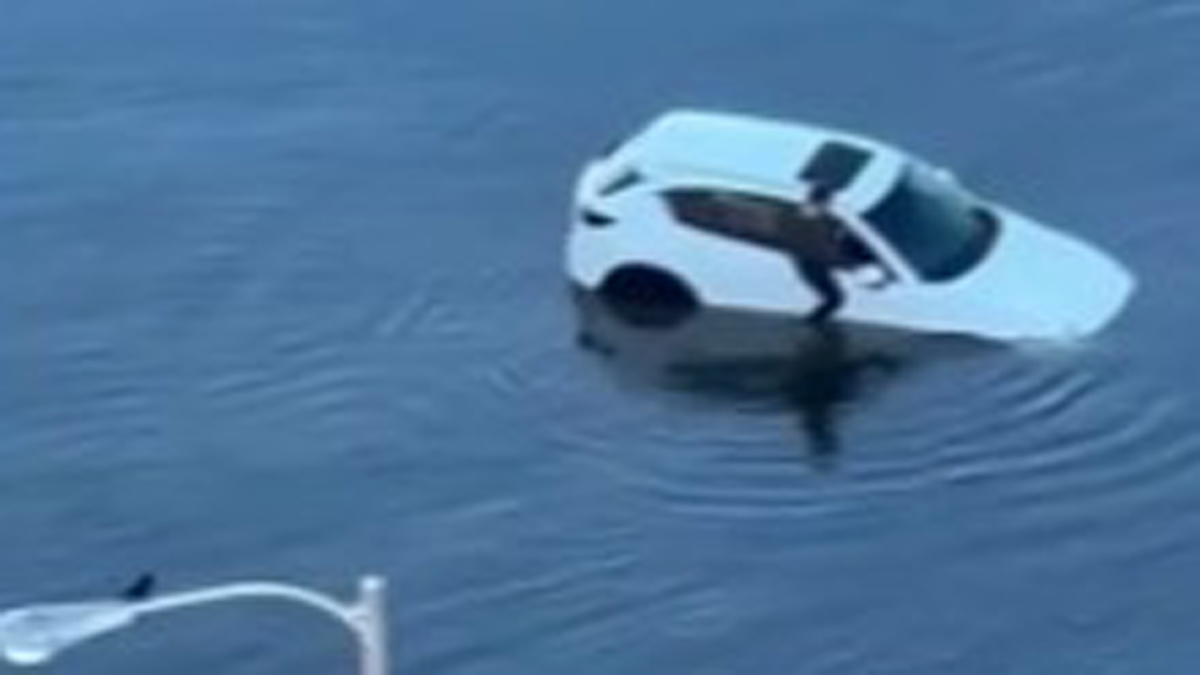 Video Shows Driver Swimming to Safety After Car Goes Into Canal in ...