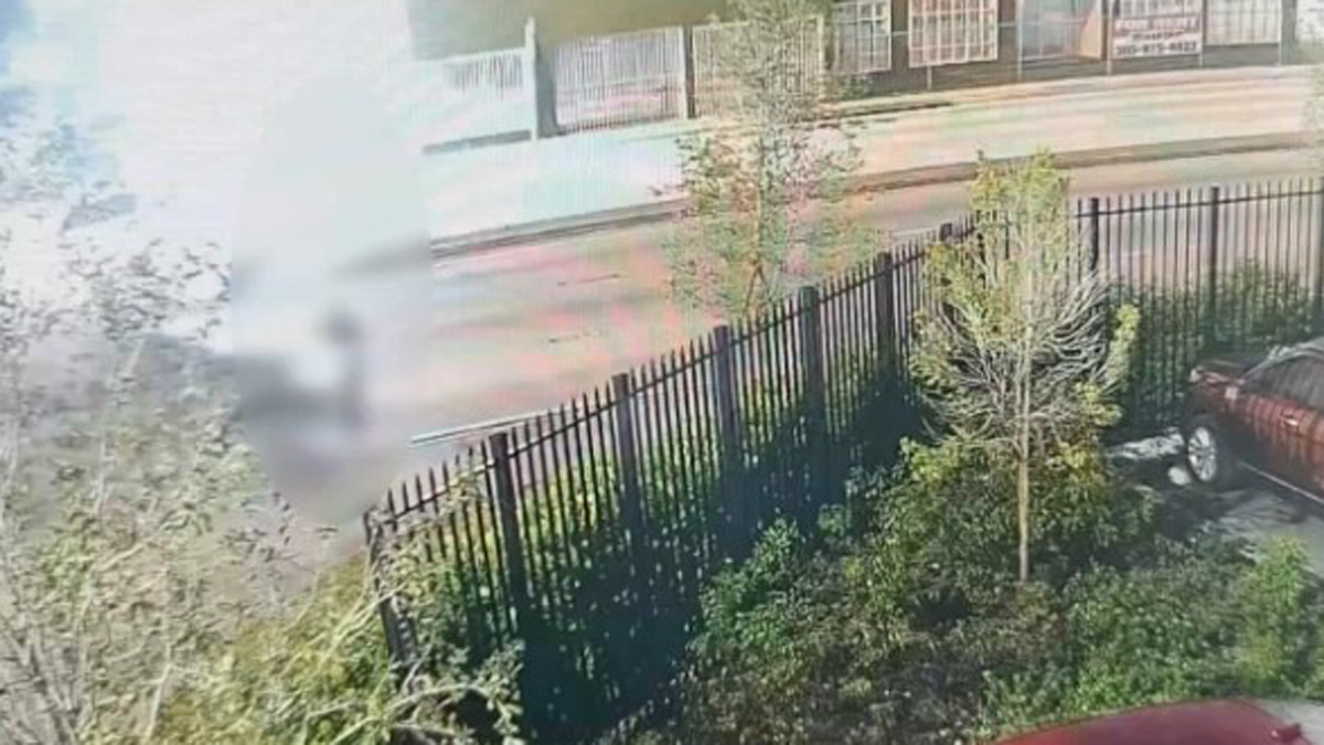 Man Killed in Apparent Hit-and-Run in Miami: Police – NBC 6 South Florida