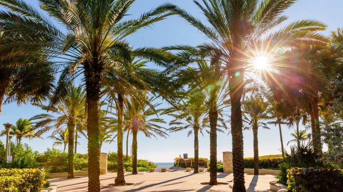 Why is it So Hot in February? NBC6 Meteorologist Explains – NBC 6 South ...