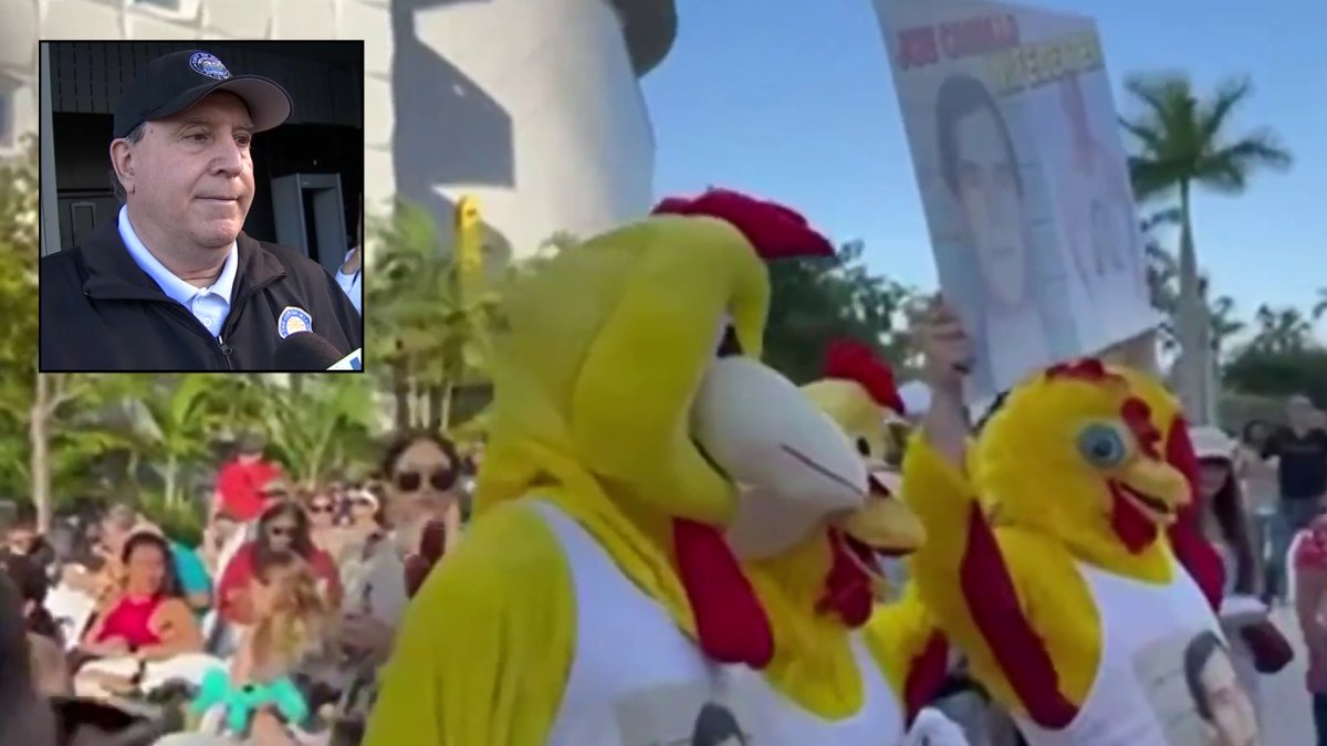 Miami Commissioner Joe Carollo Speaks Out on Protesting Chickens – NBC ...