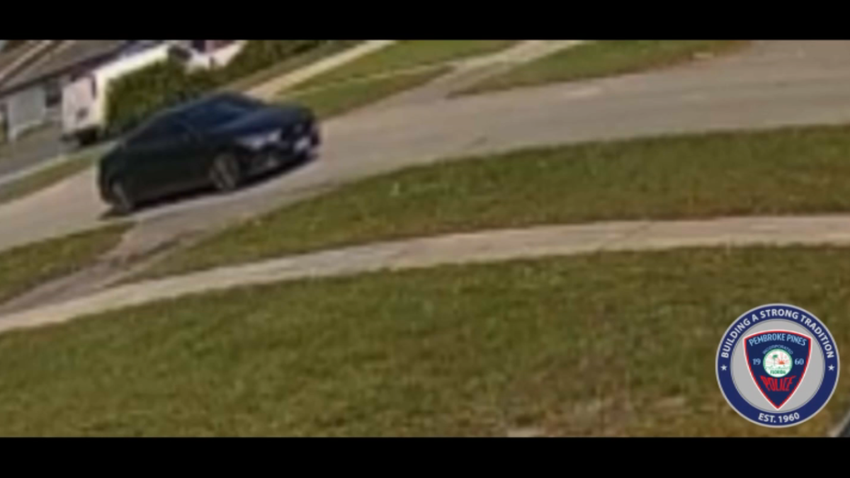 Naked Man Attempts To Abduct Woman In Pembroke Pines Police Nbc 6