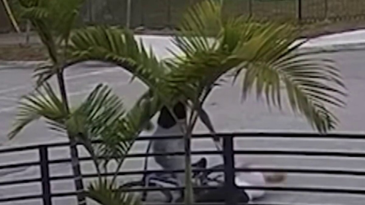 Robber Knocks Woman to Ground in Coconut Grove – NBC 6 South Florida