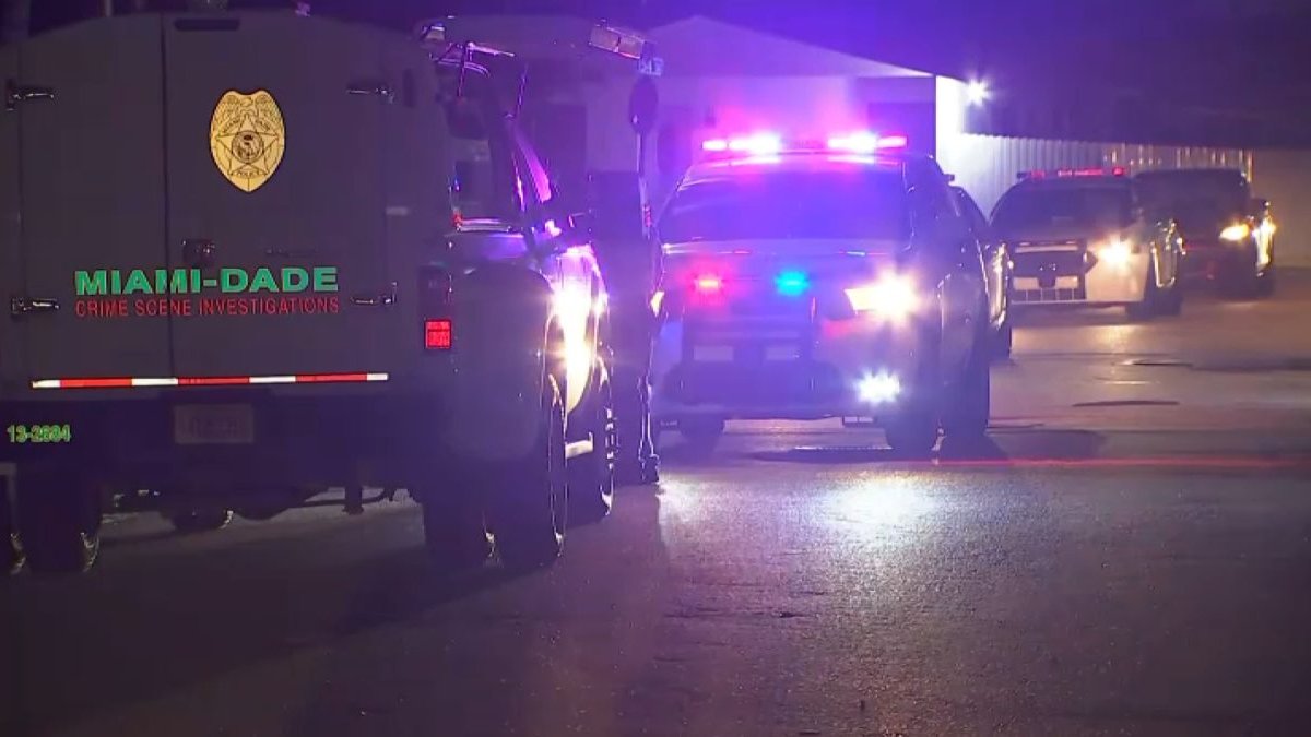 1 in Custody, 1 at Large After Attempting to Break Into Miami-Dade ...