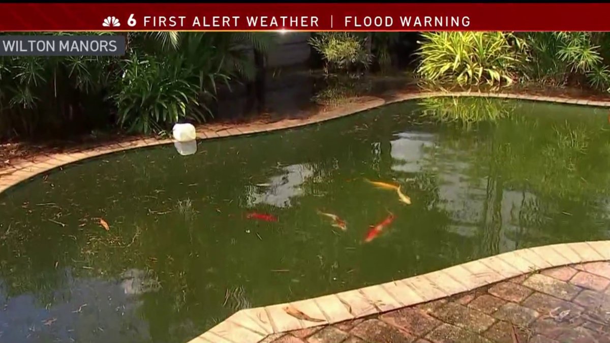 Wilton Manors Homes Dealing With Devastation From Flooding – NBC 6 ...