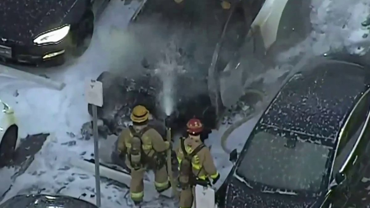 Tesla Damaged After Catching on Fire at Dealership – NBC 6 South Florida