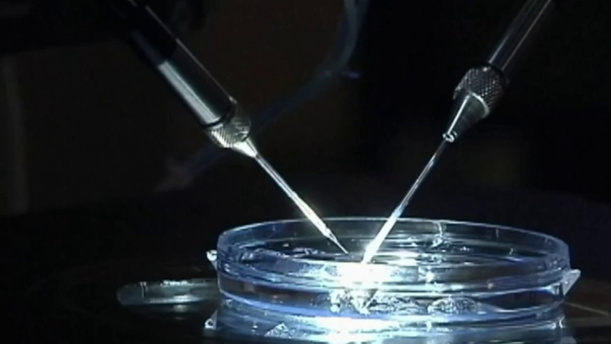 Providing Support During National Infertility Awareness Week Nbc 6