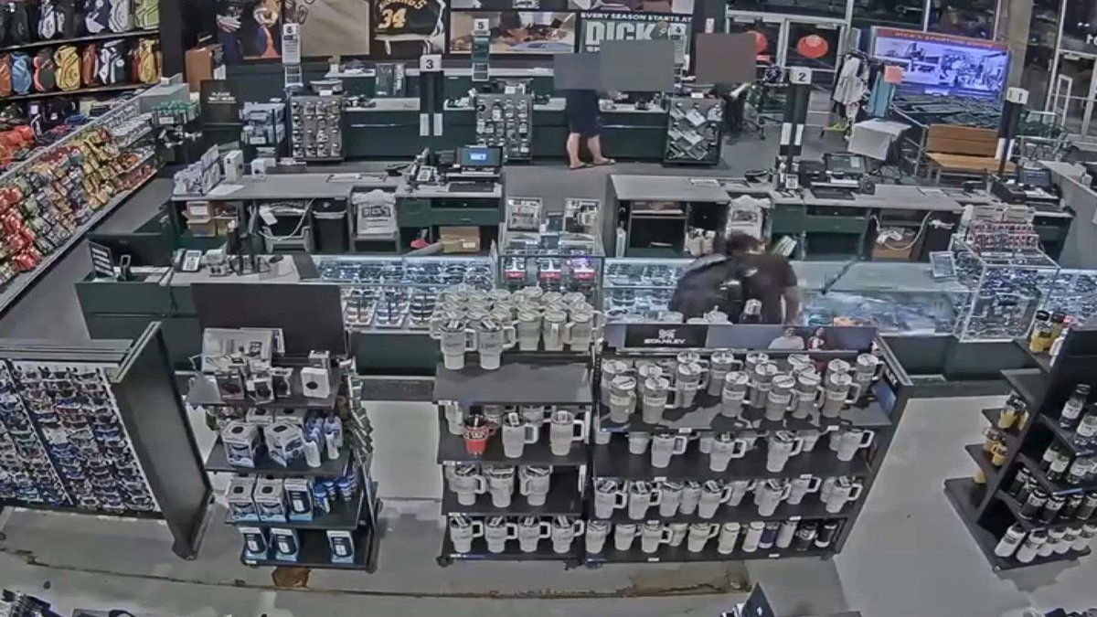 Video Shows Man Smashing Glass Cases With Baseball Bat in Florida ...