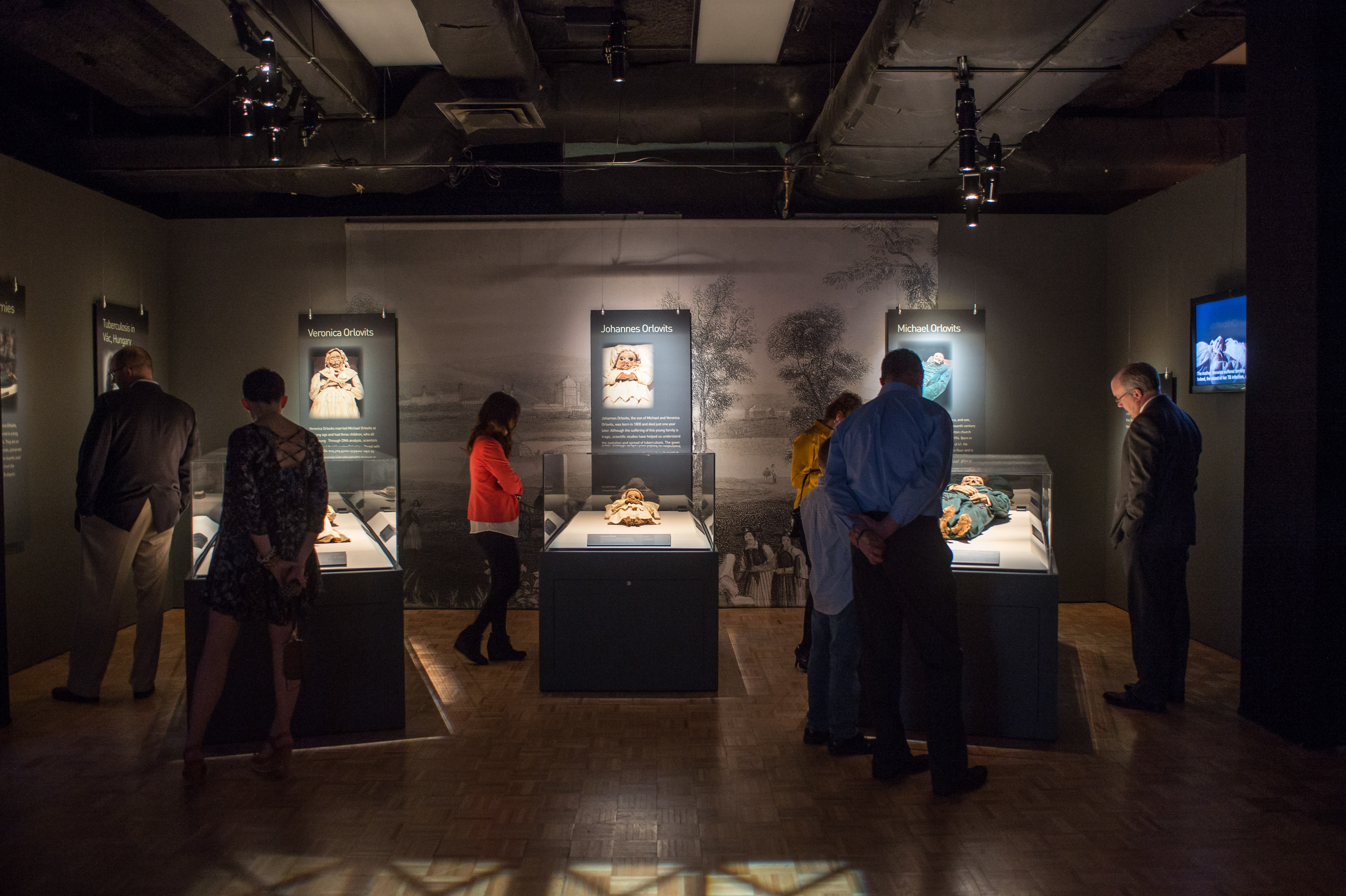 Mummies of the World Exhibit Arrives at Frost Museum – NBC 6 South Florida