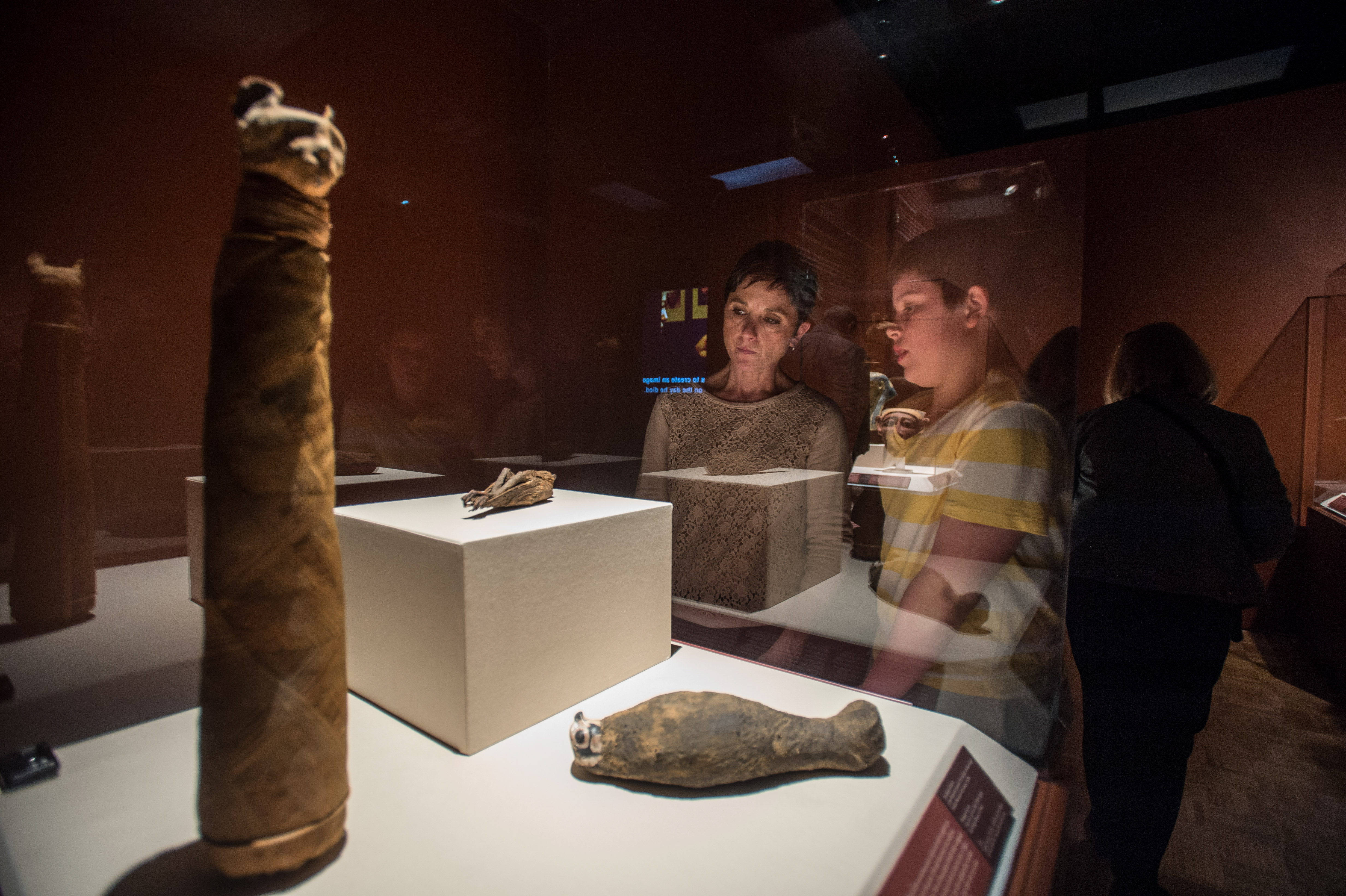 Mummies of the World Exhibit Arrives at Frost Museum – NBC 6 South Florida