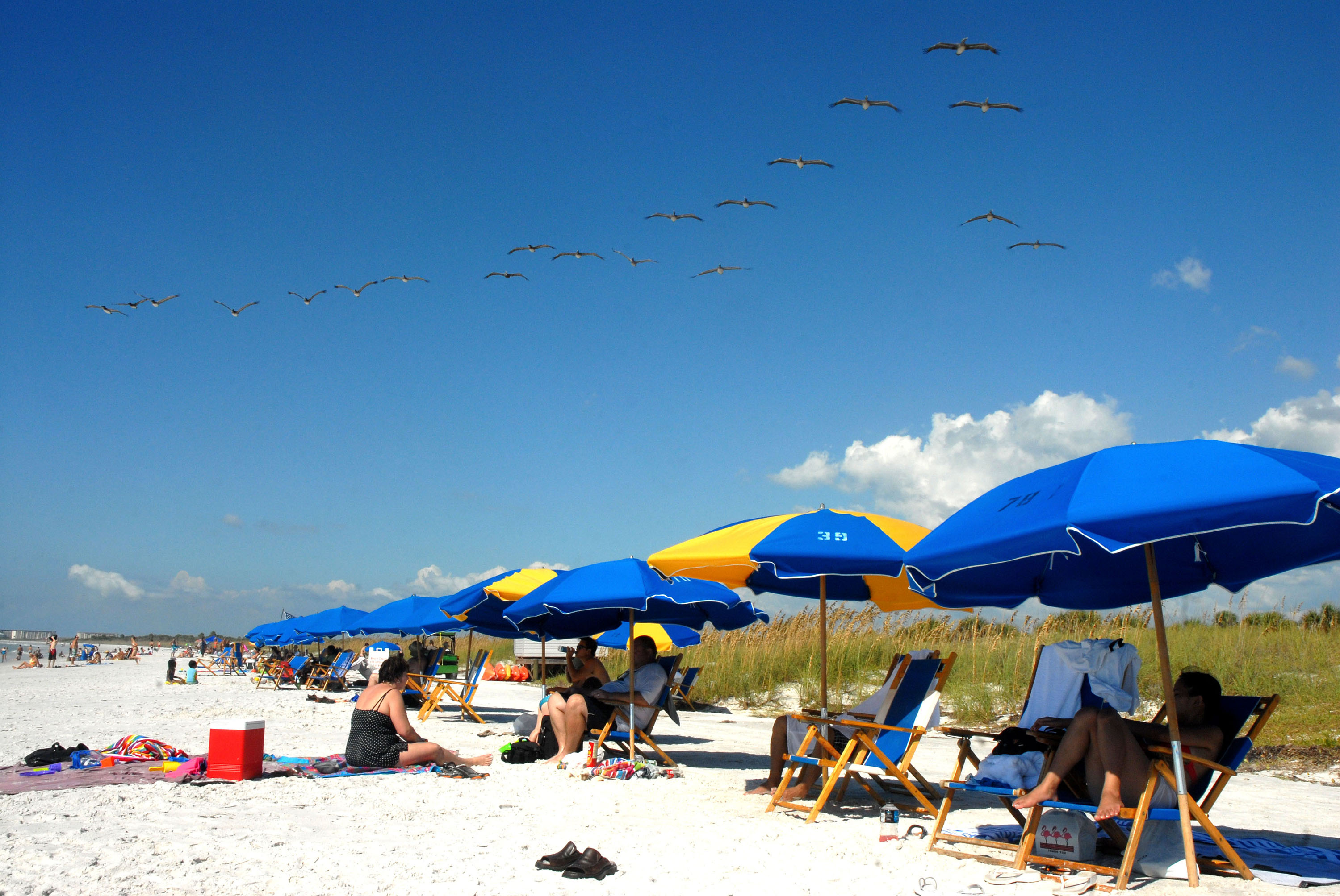 St. George Island State Park in Florida Named Best Beach in US – NBC 6 ...