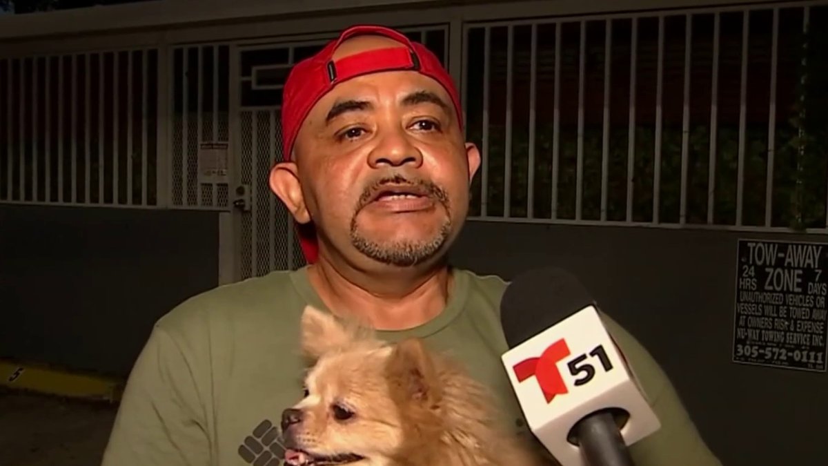 Man Finds Dogs Dead After Little Havana House Fire – NBC 6 South Florida