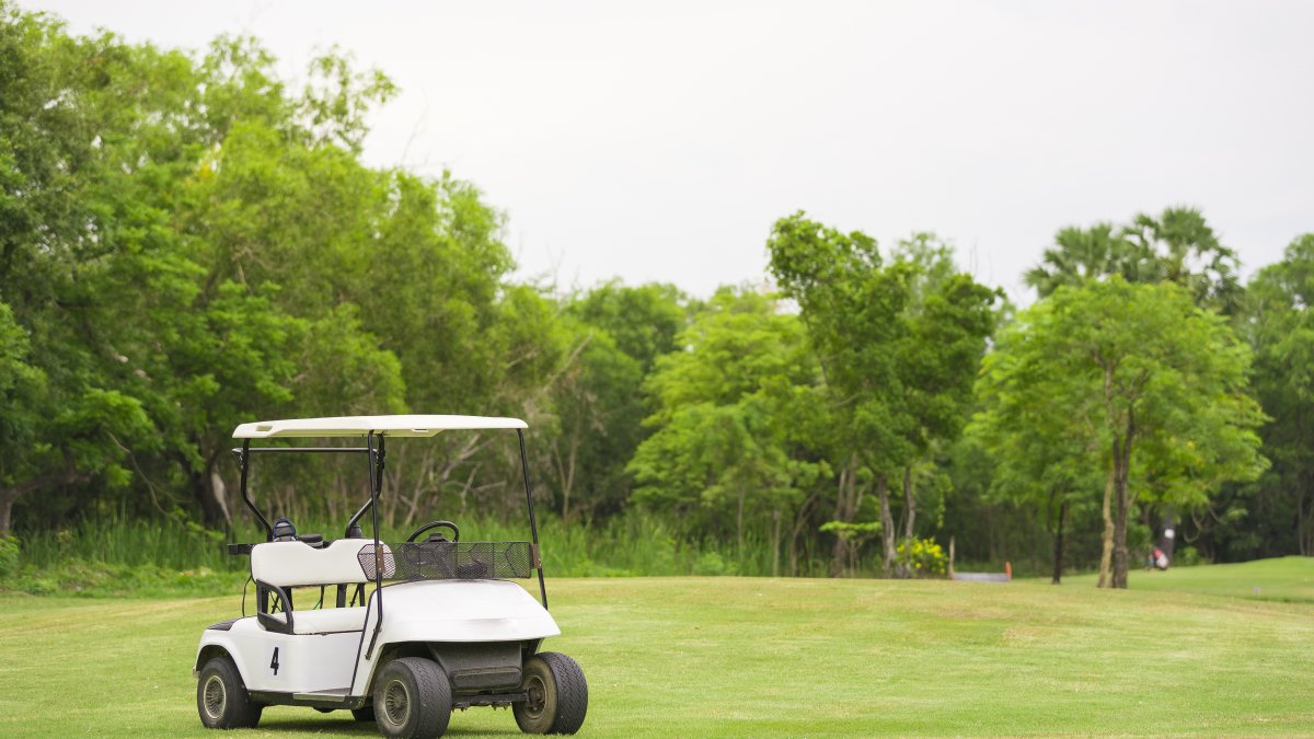 3-year-old driving golf cart hits and kills 7-year-old in Fort Myers ...