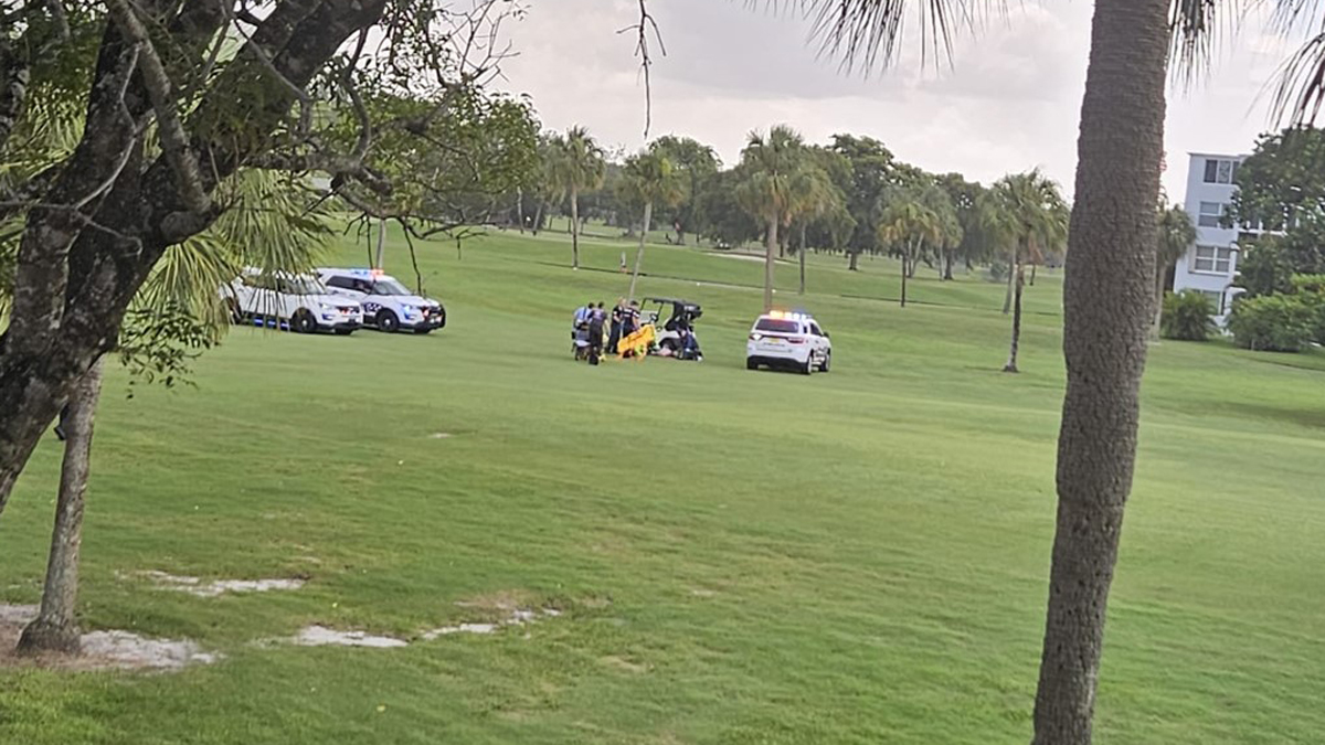 Man hospitalized after being struck by lightning while golfing in ...