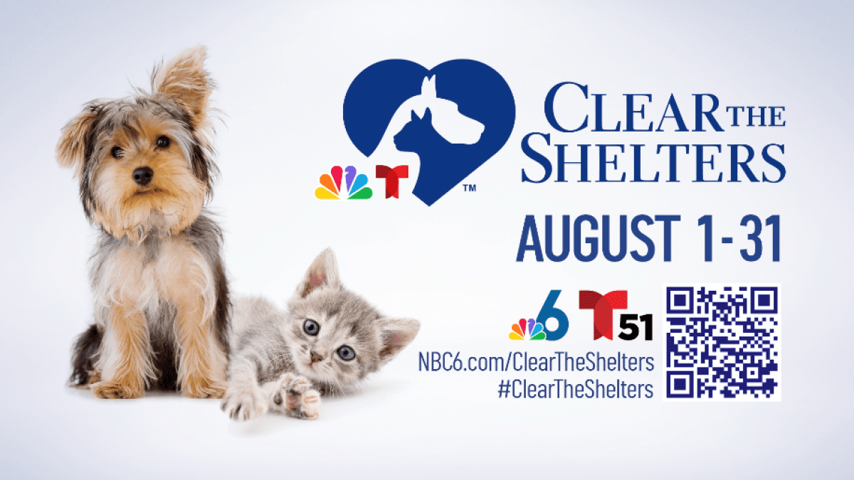 NBC6 and Telemundo 51’s ‘Clear The Shelters’ pet adoption & donation ...
