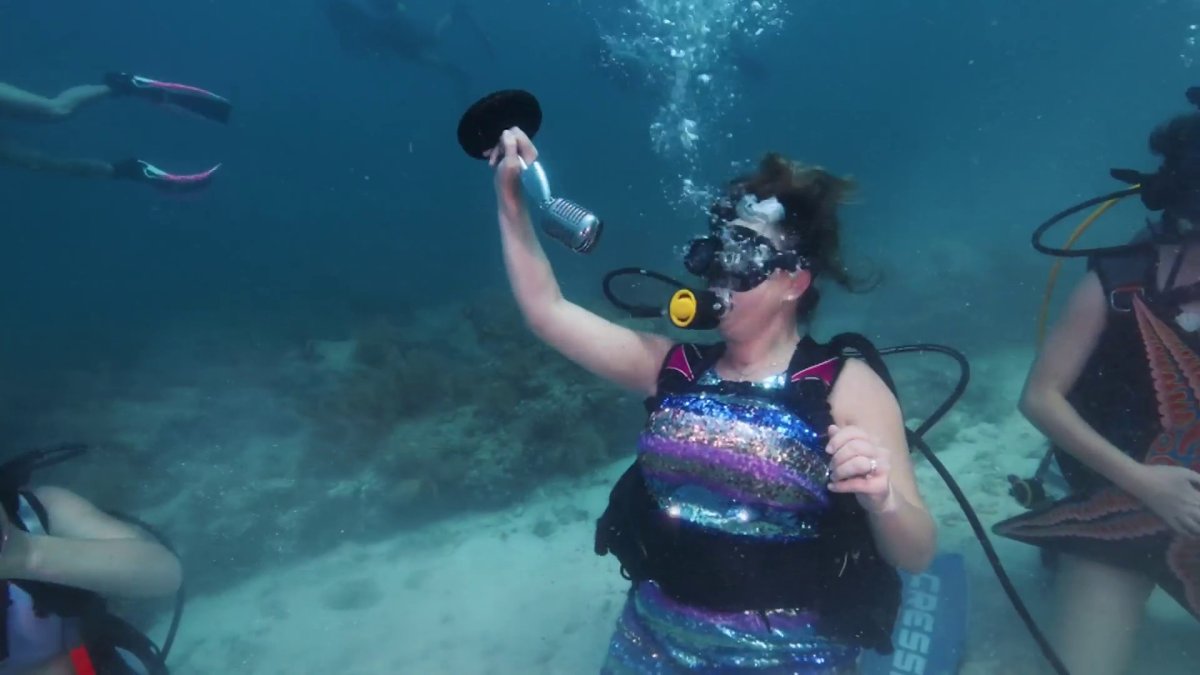 Reef Protection Highlights Lower Keys Underwater Music Festival – NBC 6 ...