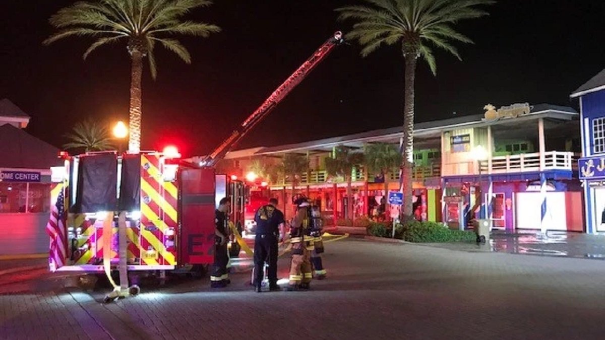 Several animals killed after fire breaks out at Florida wildlife center ...
