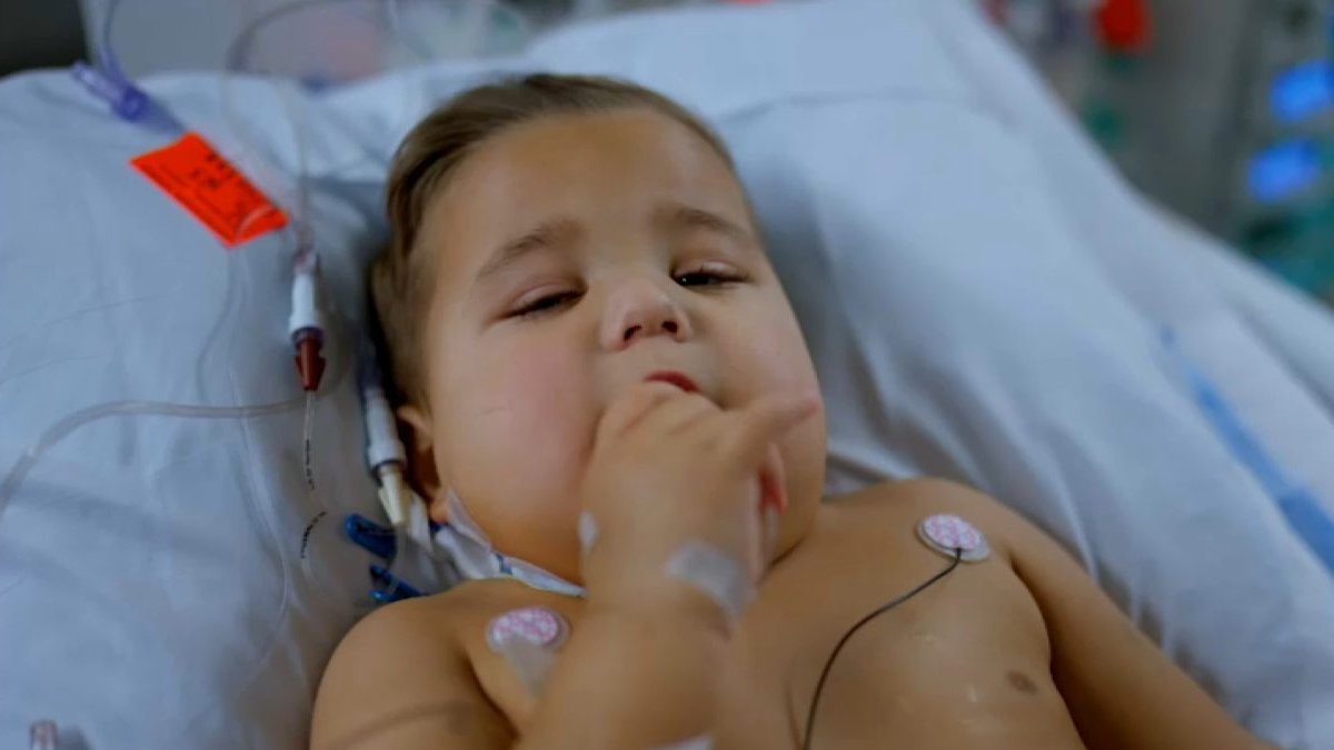 South Florida toddler receives long-awaited kidney transplant – NBC 6 ...