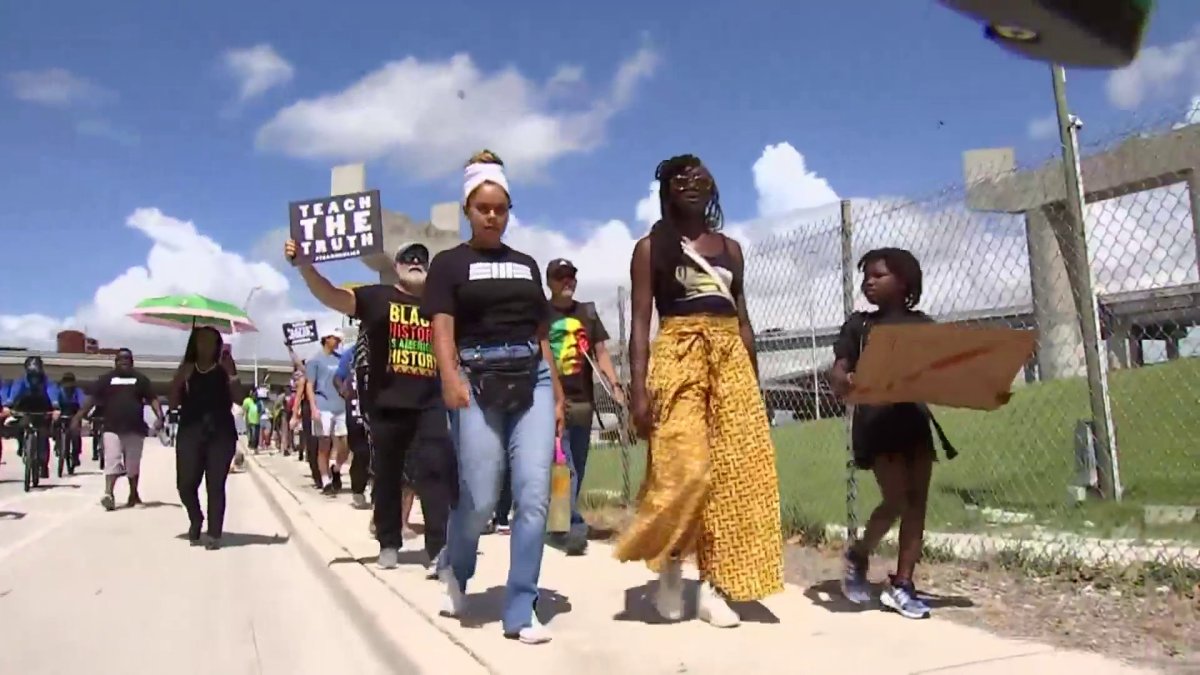 Protestors in Miami-Dade rally against Florida’s new Black history ...
