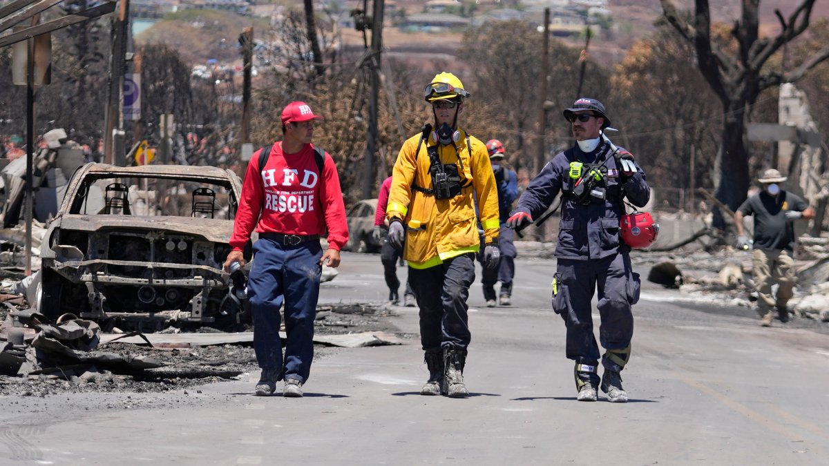 Here’s how authorities plan to identify the victims of Maui’s wildfires ...