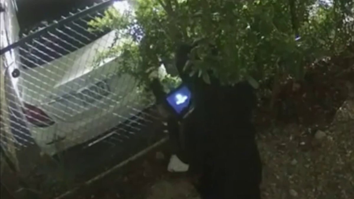 Thieves are using tablets to steal cars. Here’s how to protect yours ...