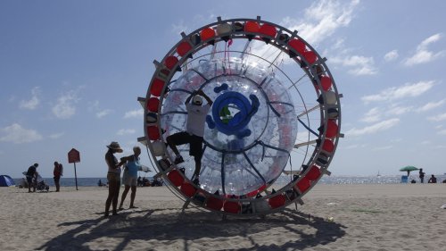 Florida man Reza Baluchi arrested while riding hamster wheel in ...