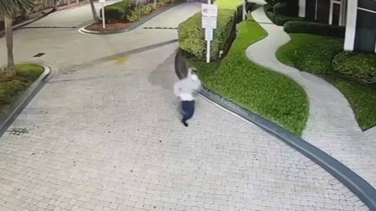 WATCH: Surveillance video captures suspect of armed carjacking arrested ...