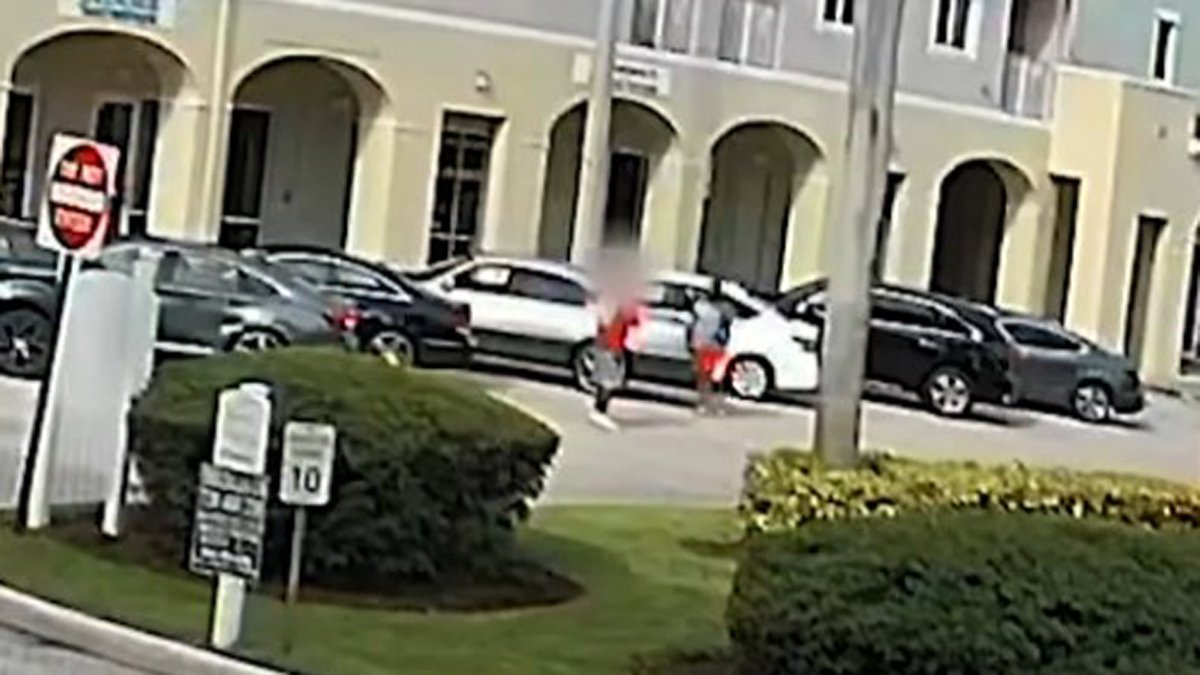 Suspect sought after Broward man stabbed in attempted carjacking caught ...